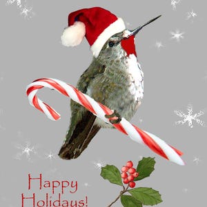 Custom Hummingbird Christmas Cards, 10 Hummer Santa Cards, Holiday Bird ...