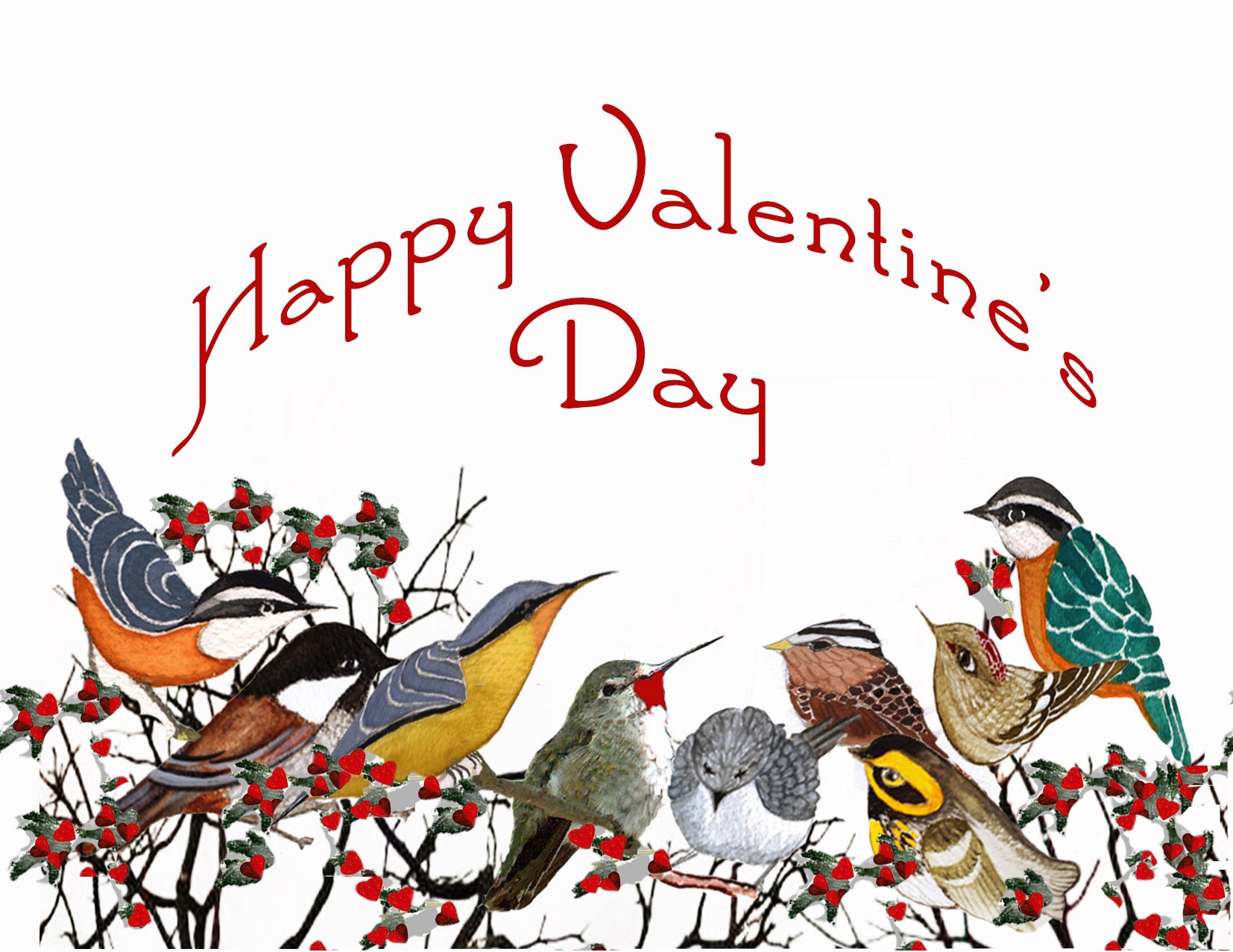 Re: February 2025 Bird's Nest - Page 12 - Blogs & Forums