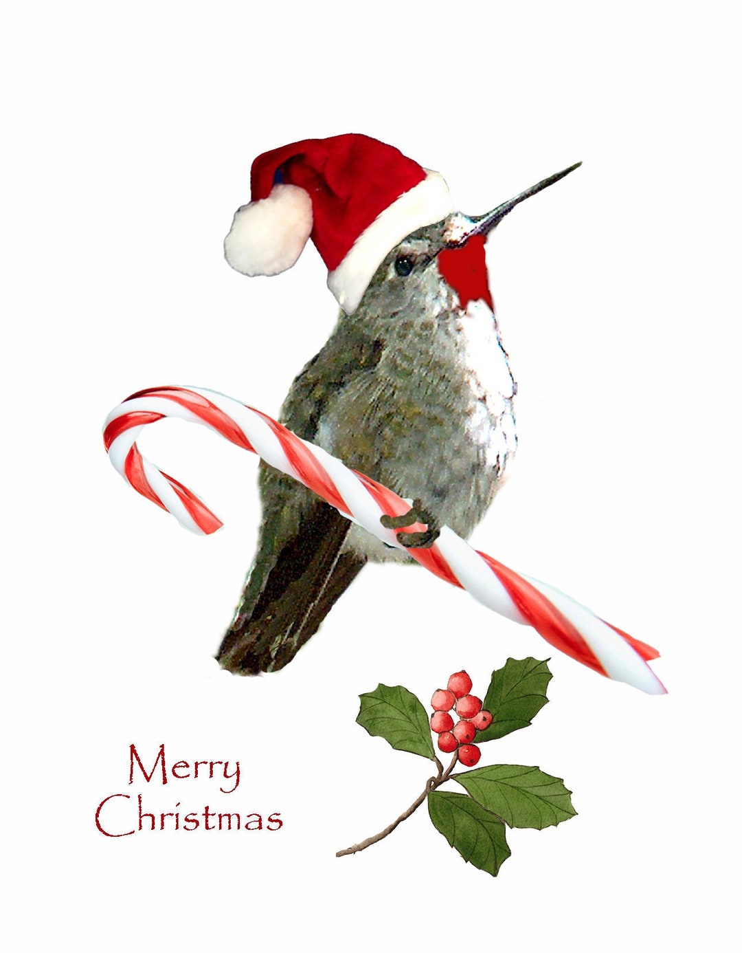 Custom Hummingbird Santa Christmas Cards, Fantasy Holiday Peace Cards ...
