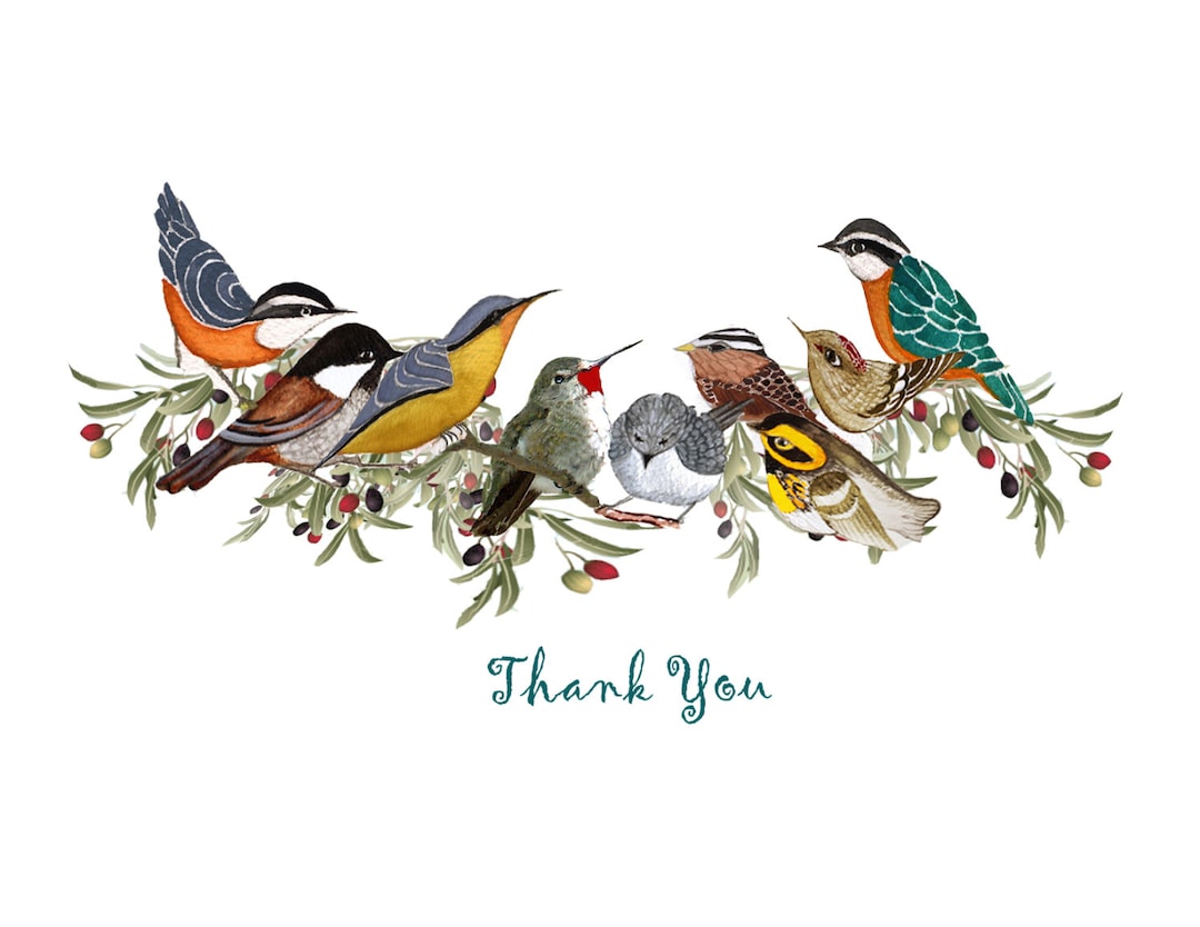Songbird Thank You Cardswatercolor Little ...