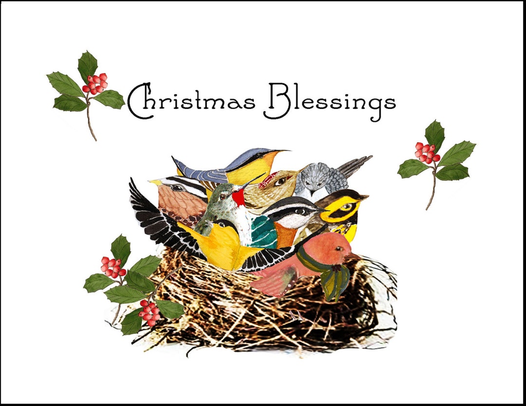 Christmas SONGBIRD Cards, Wild Bird Holiday Custom Cards, Celebrate ...