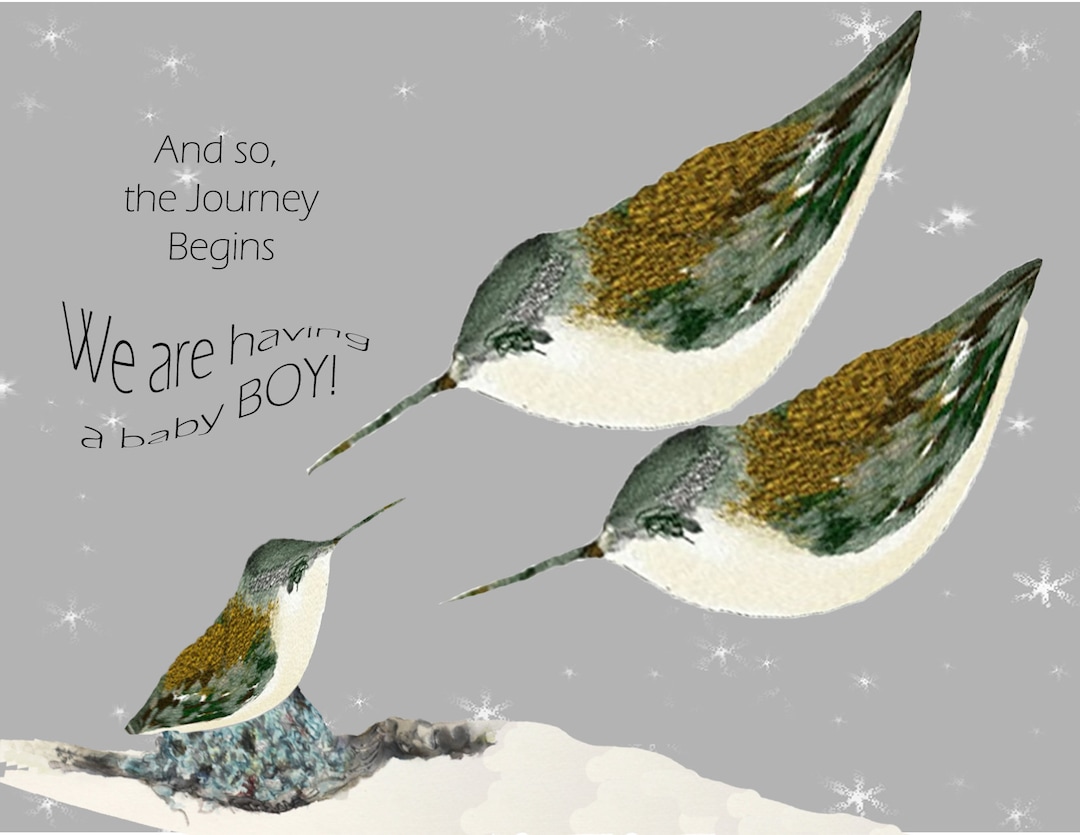 New Baby Hummingbird Announcementsits a Boy Announcementfantasy Hummer ...