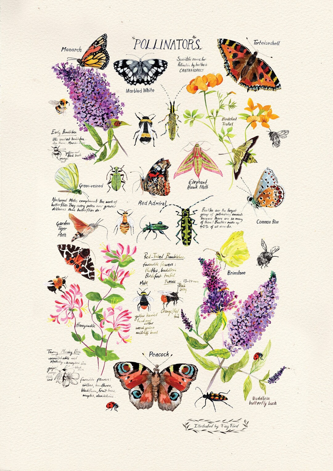 Pollinators Print - Etsy