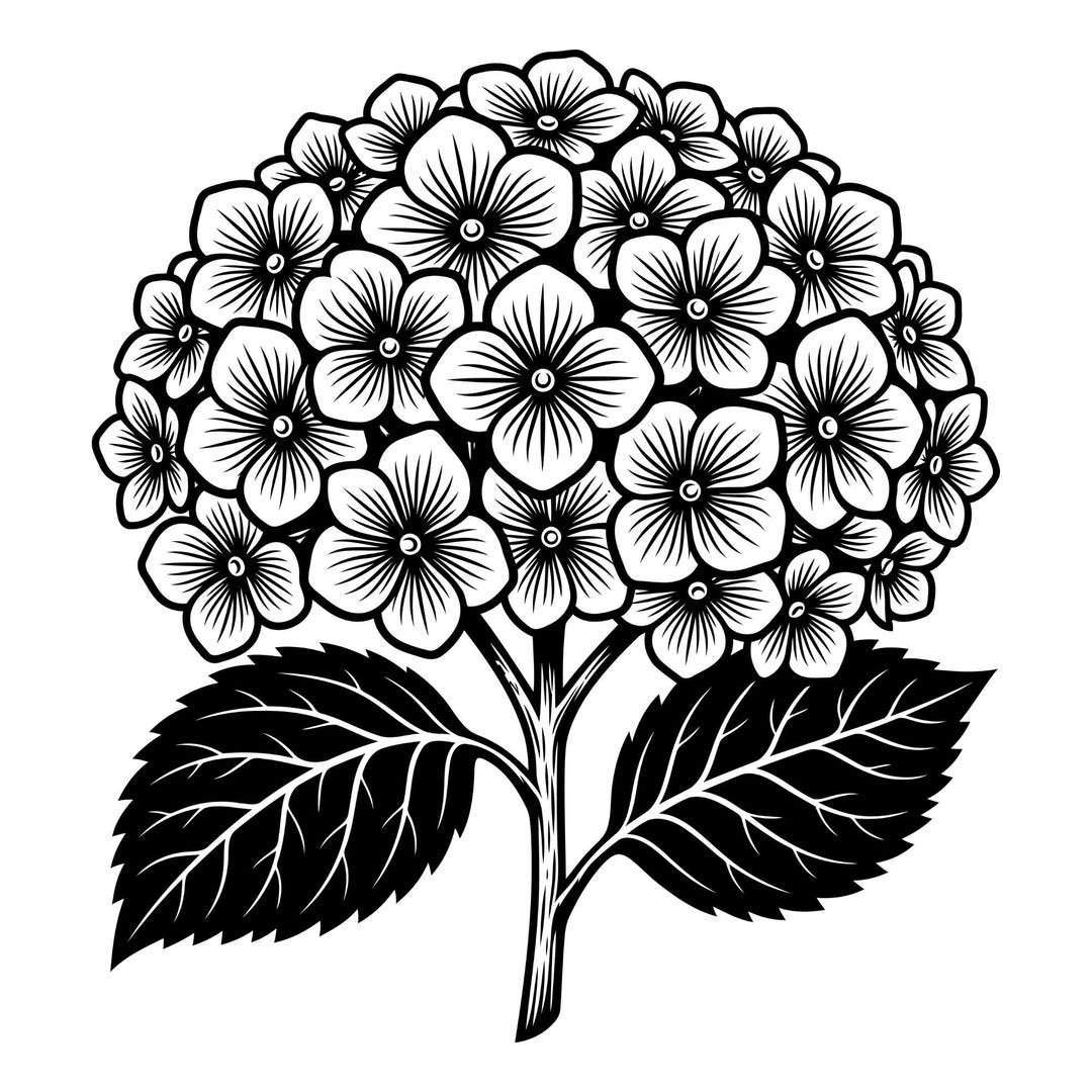 Flower Cluster Svg, Flower Svg, Flower Cluster Svg, Floral Svg, Cut ...