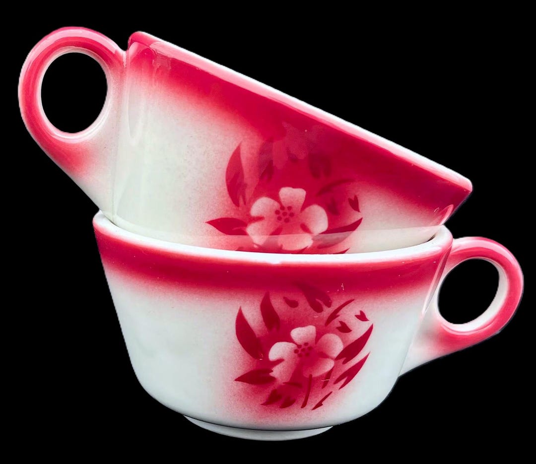 Set of 2 Jackson Restaurant Diner China Red or Maroon Airbrushed Floral ...