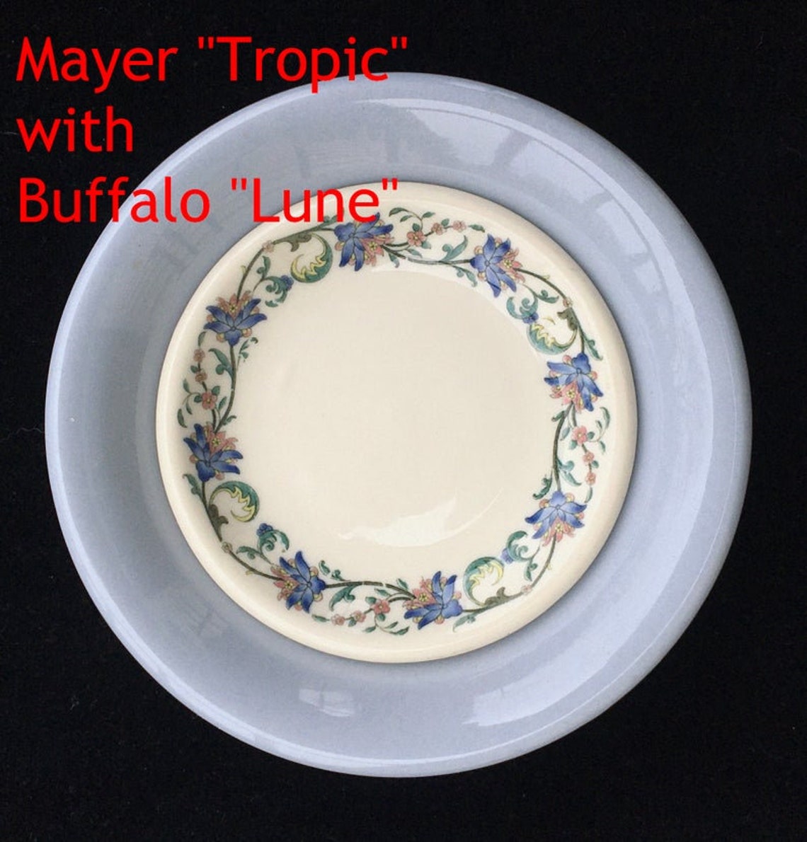 Mayer Restaurant Hotel Diner China "tropic" Pattern on Ivory 5-section ...