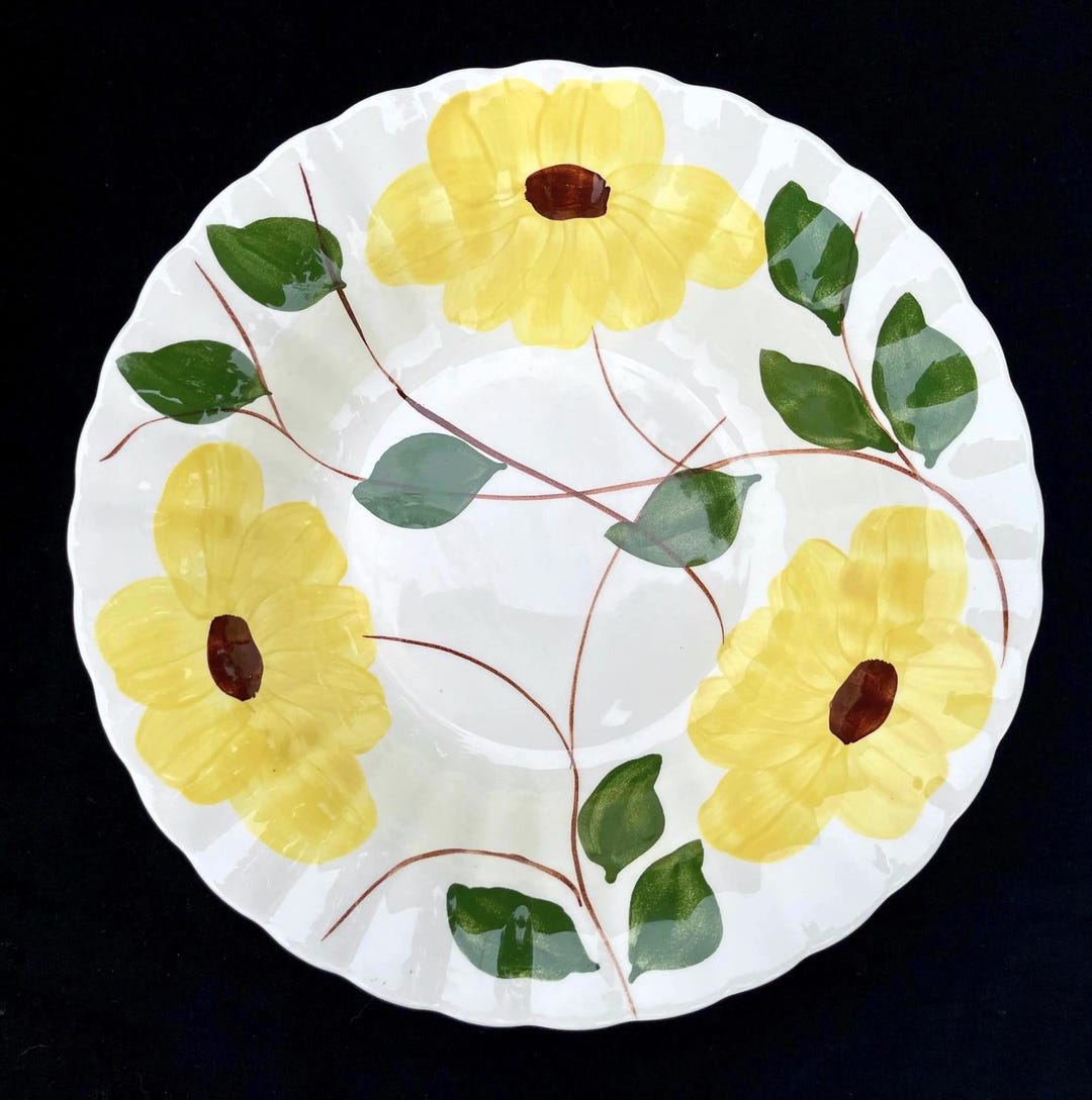 Blue Ridge Southern Potteries Pattern #3852 "ridge Daisy" 9.25 ...