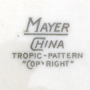 Mayer Restaurant Hotel Diner China "tropic" Pattern on Ivory 5-section ...