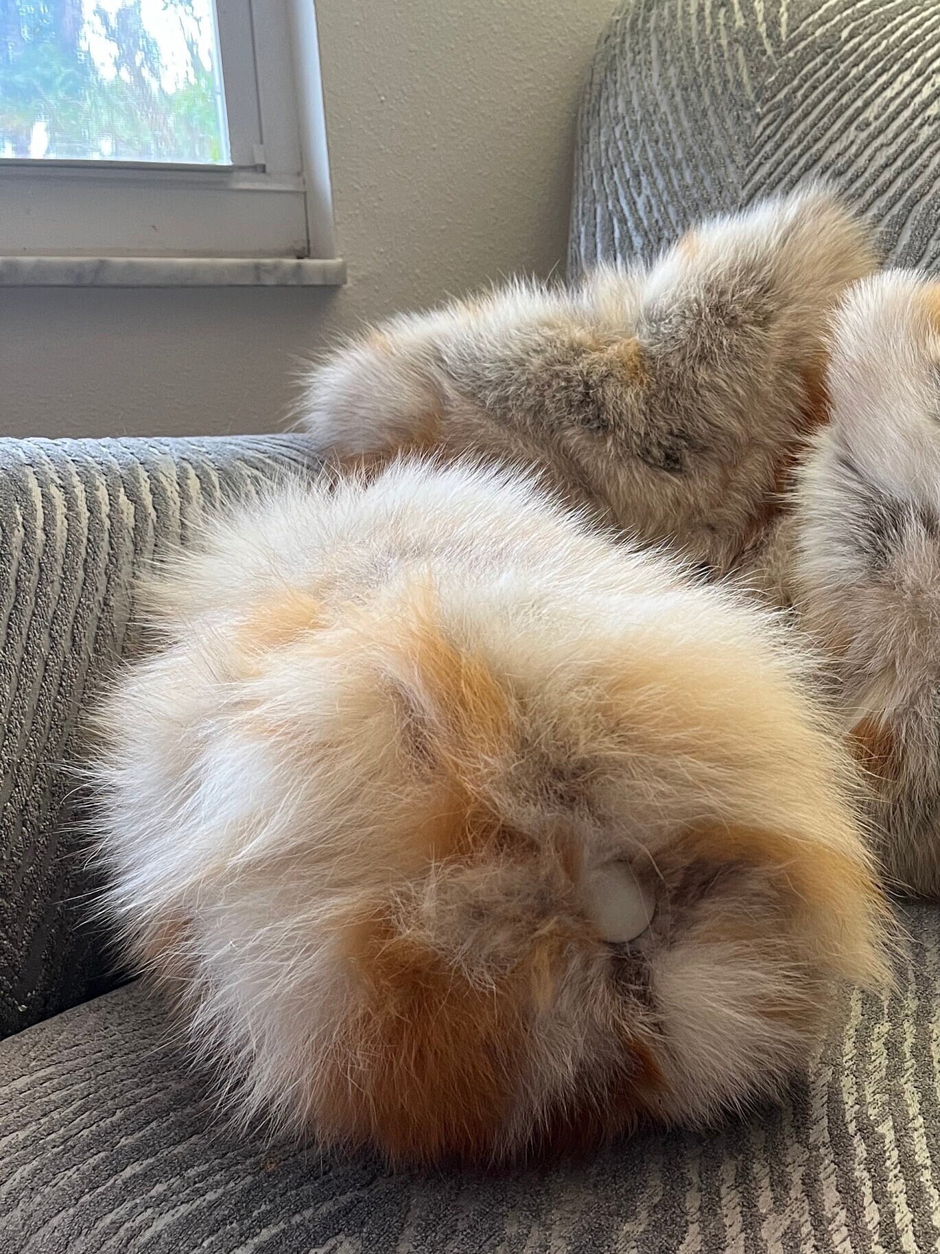 Your Short Fur Coat, Repurposed Into Bolsters, Pillows, and More Using ...