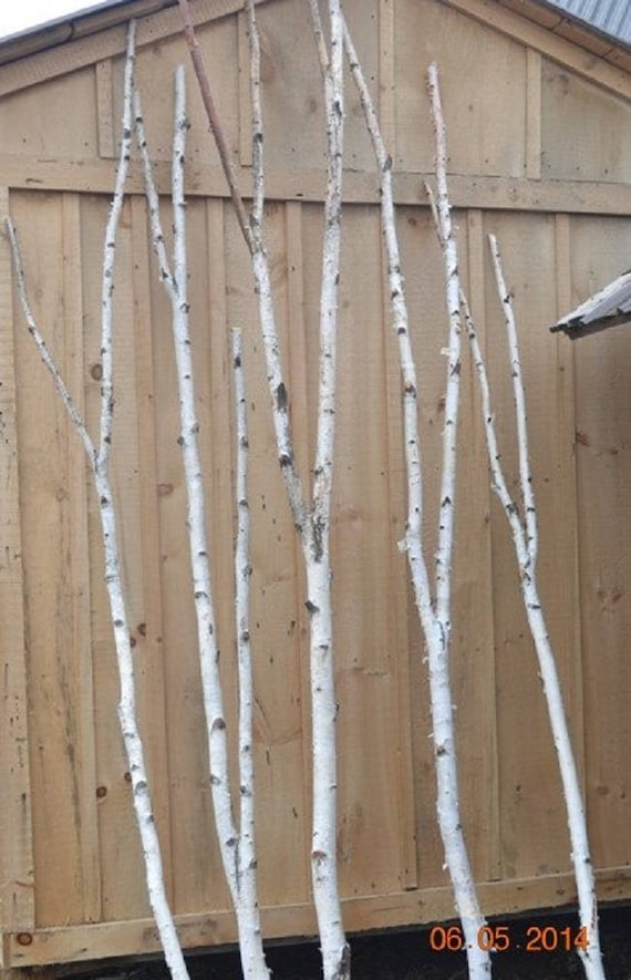 Poles/Branches/Limbs - Spirit of the Woods