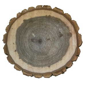 Five Kiln Dried 9" to 10" Diameter X 1" Thick Wood Slices, Wood Rounds ...