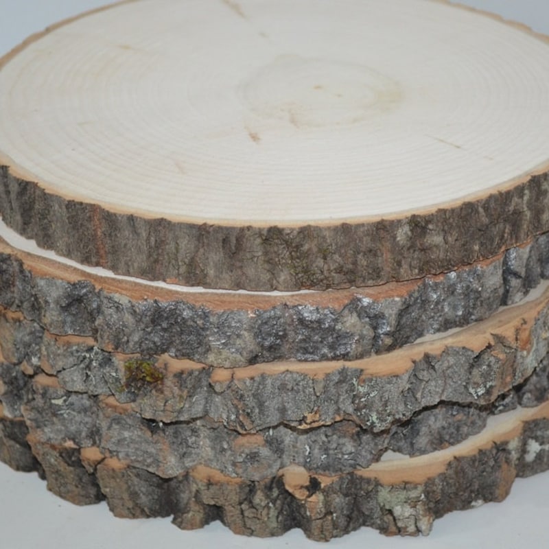 Tree Trunk Slices - Etsy