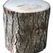 Aspen Tree Stump Large 10" to 12" Diameter X 4" to 36" Tall - Etsy