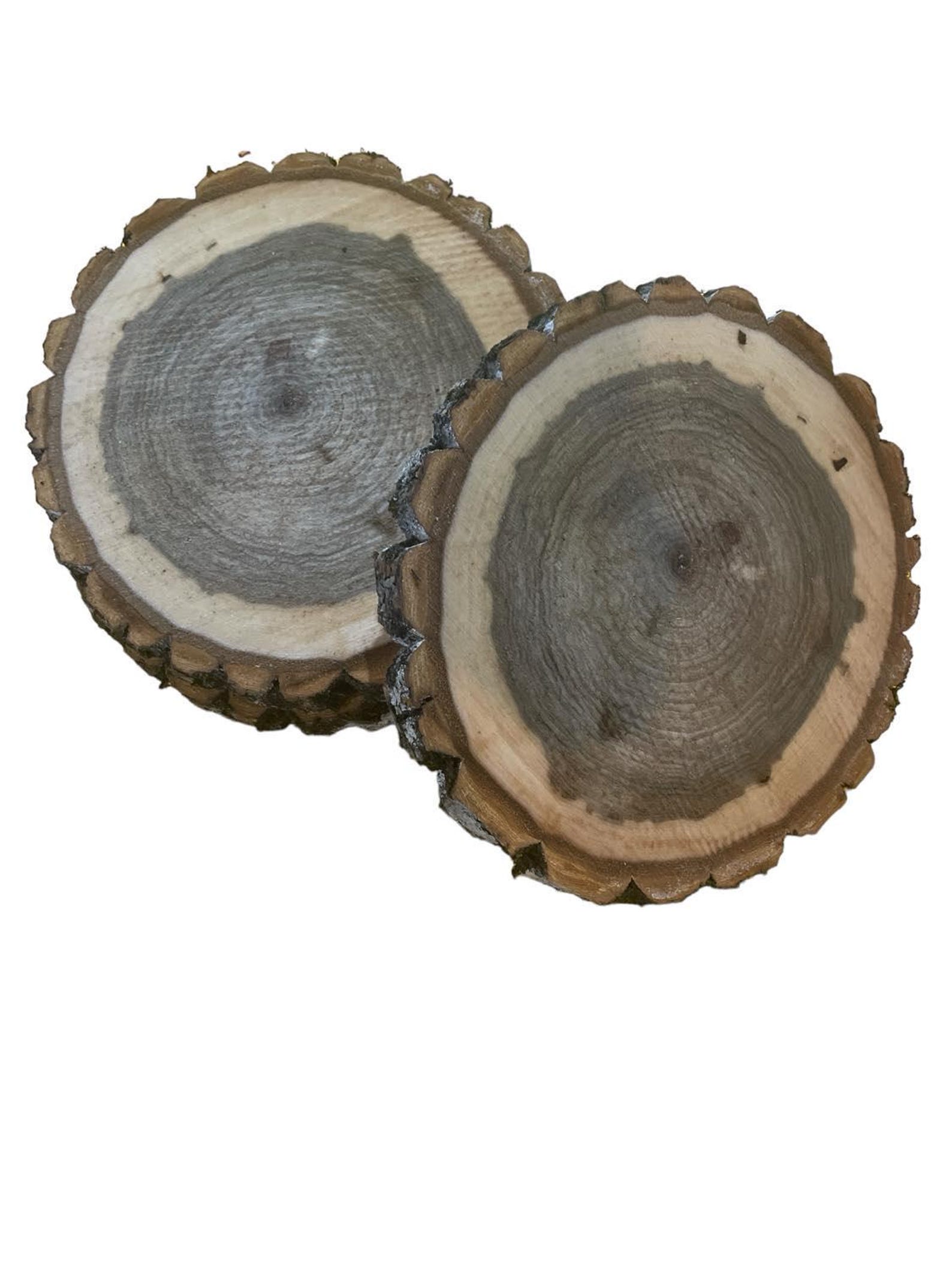 Five Kiln Dried 7" to 8" Diameter Wood Slice, Wood Rounds, Wood Slabs ...