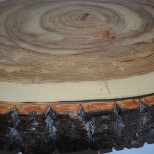 Log Slice Slab for Cake Stand, Cutting Board, Charcuterie, Food Serving ...