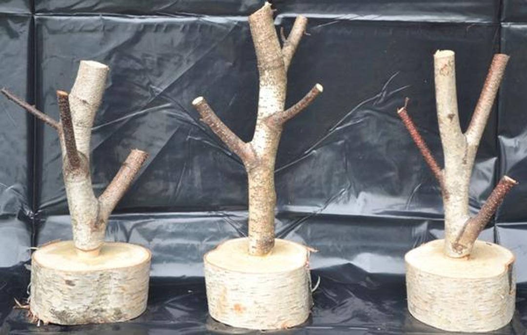 Birch Tree Jewelry Stand One Stand - Etsy