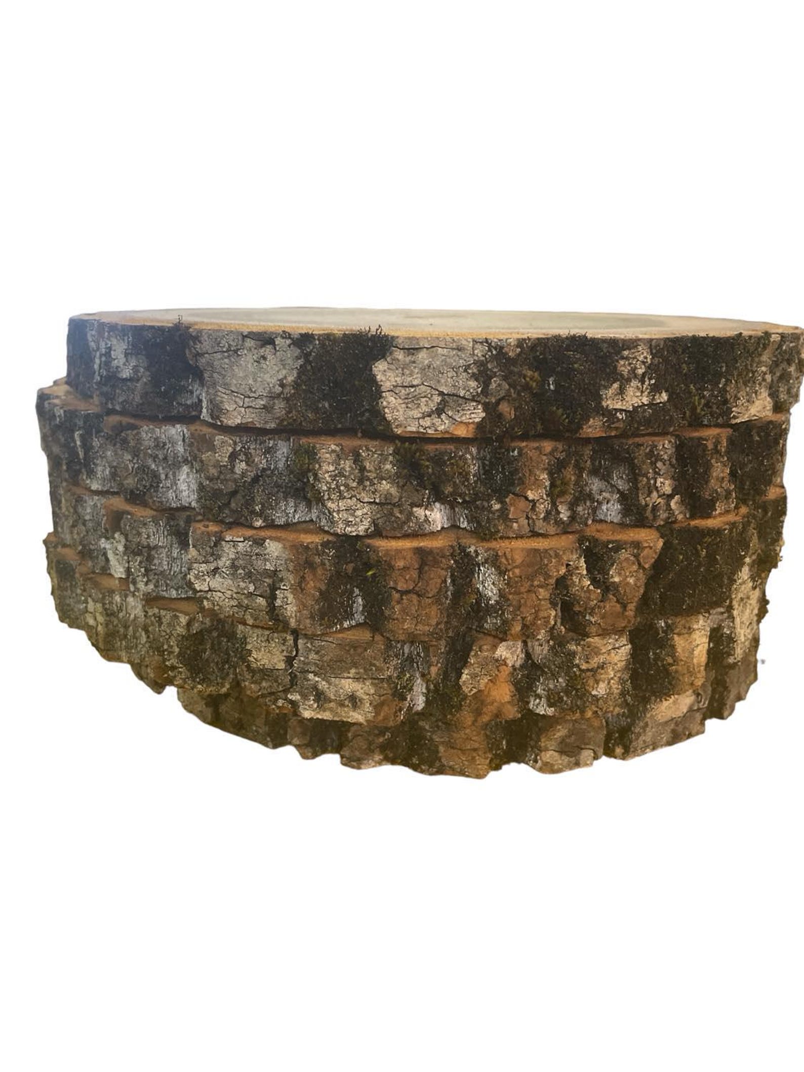 Five Kiln Dried 7" to 8" Diameter Wood Slice, Wood Rounds, Wood Slabs ...