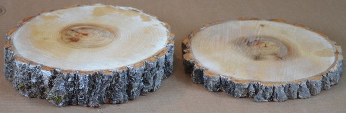 Aspen Wood Slices Wood Rounds Wood Slabs 9 10 - Etsy