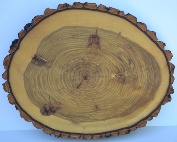 Wood Slices-Slabs - Spirit of the Woods