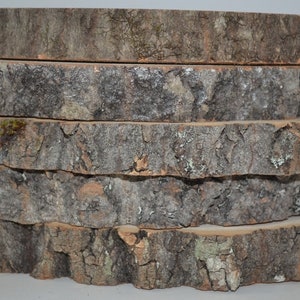 Aspen Wood Slices, Wood Rounds, Wood Slabs 8" - 9" Diameter X 1" Thick ...