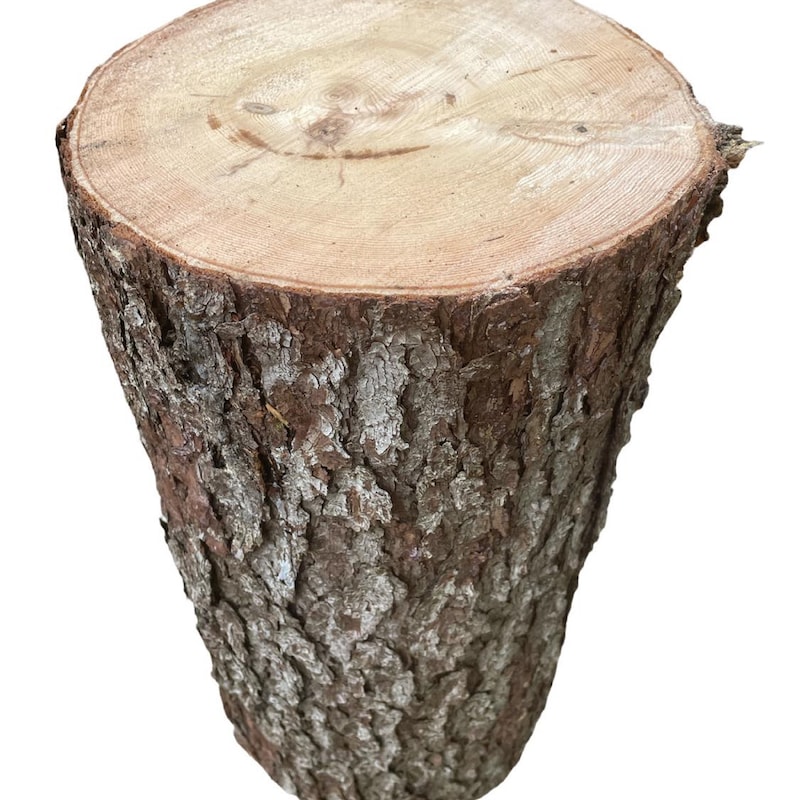 Tree Slice End Table - Etsy