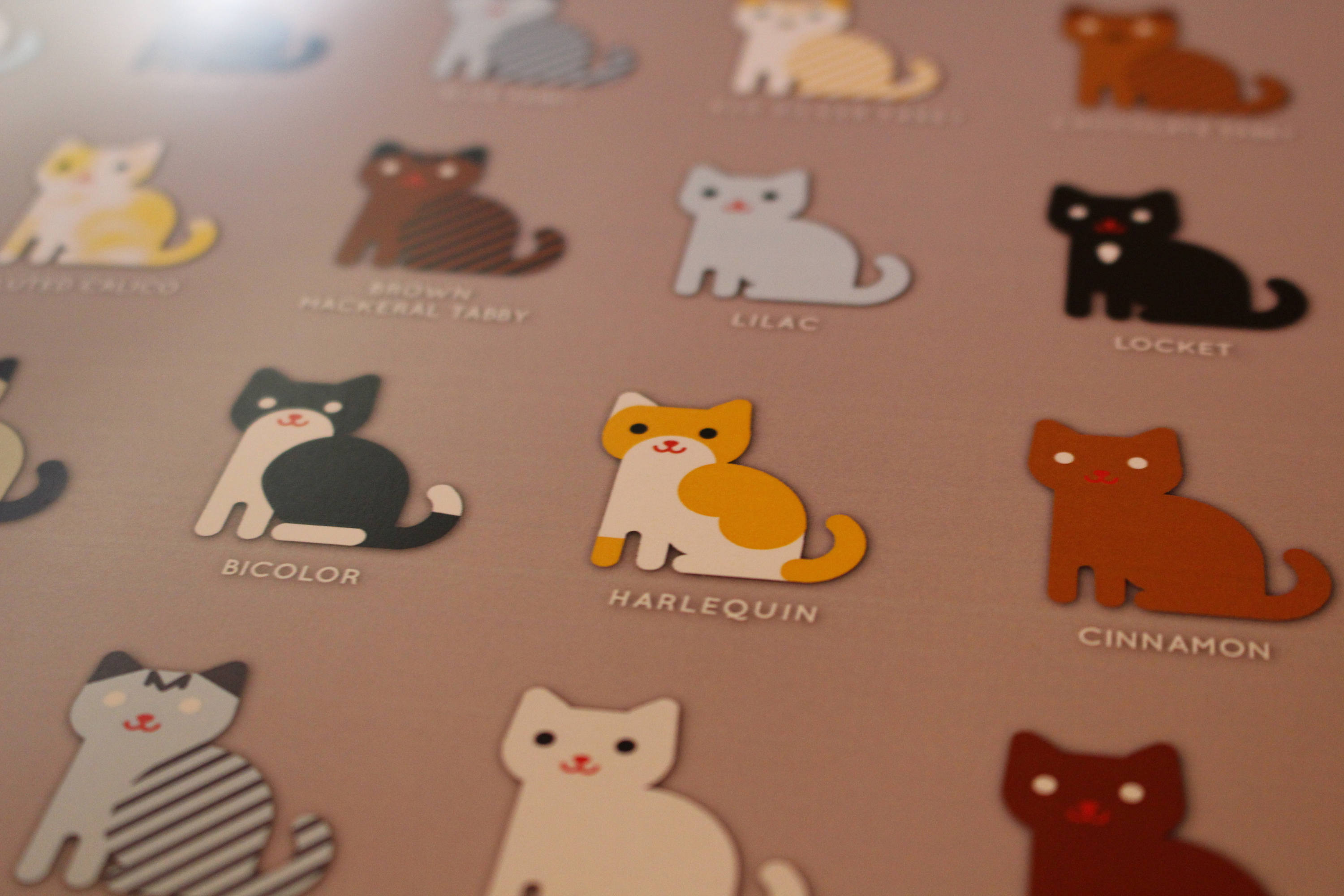 35 Cat Colors and Patterns Original Design Poster - Etsy Canada