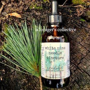 white pine needles soda