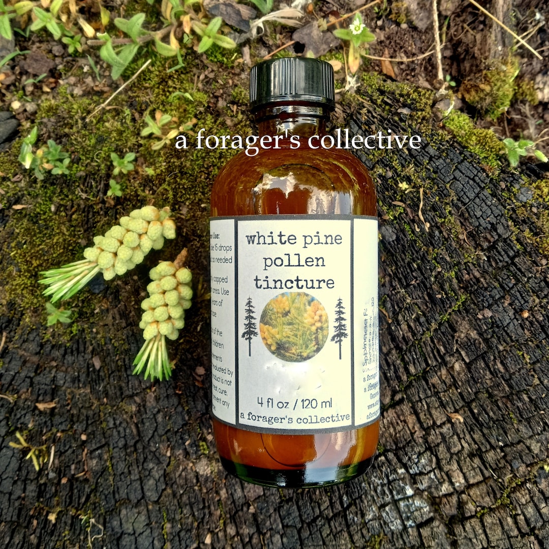 Pine Pollen Tincture , Herbal Extract , Eastern White , Wildcrafted , Artisan Handmade - Etsy