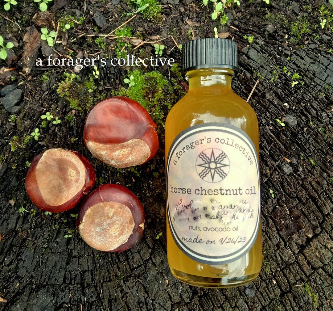 Horse Chestnut Oil , Herbal Skin Serum , Vein Oils , Wildcrafted ...