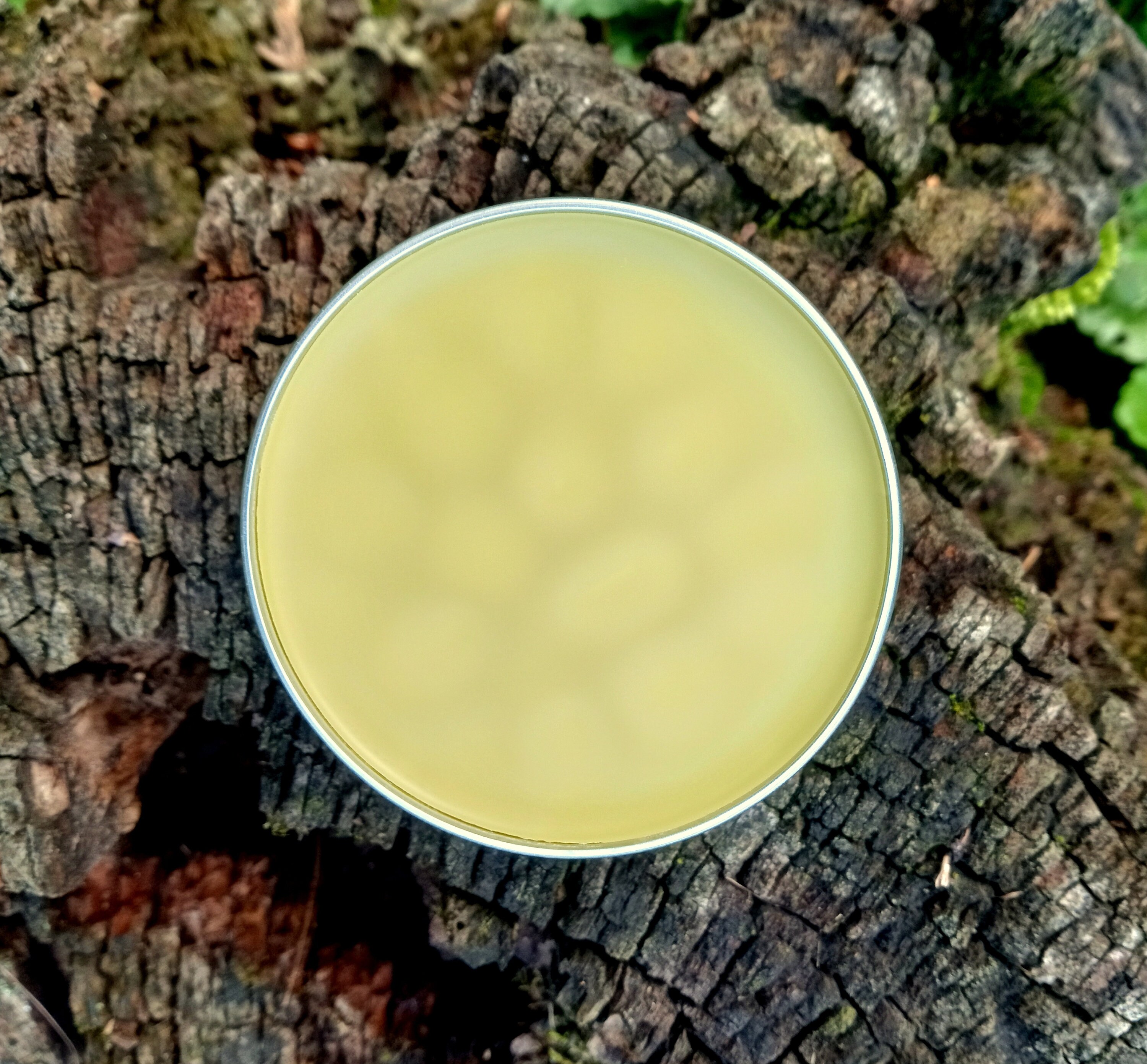 Chest Rub Balm Bee Balm Salve Herbal Ointment Move It - Etsy