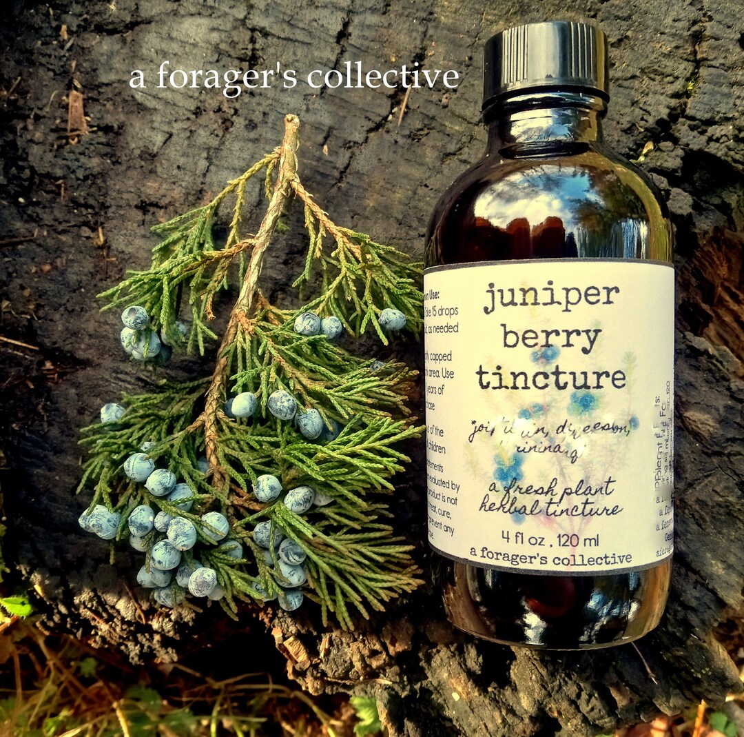 Juniper Berry Tincture , Herbal Extract , Juniperus Berries , High ...