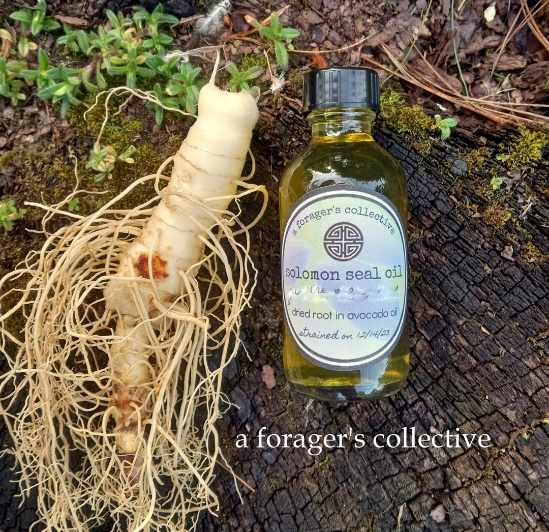 Solomon Seal Oil , Solomon's Root , Joint Serum , Polygonatum Biflorum ...