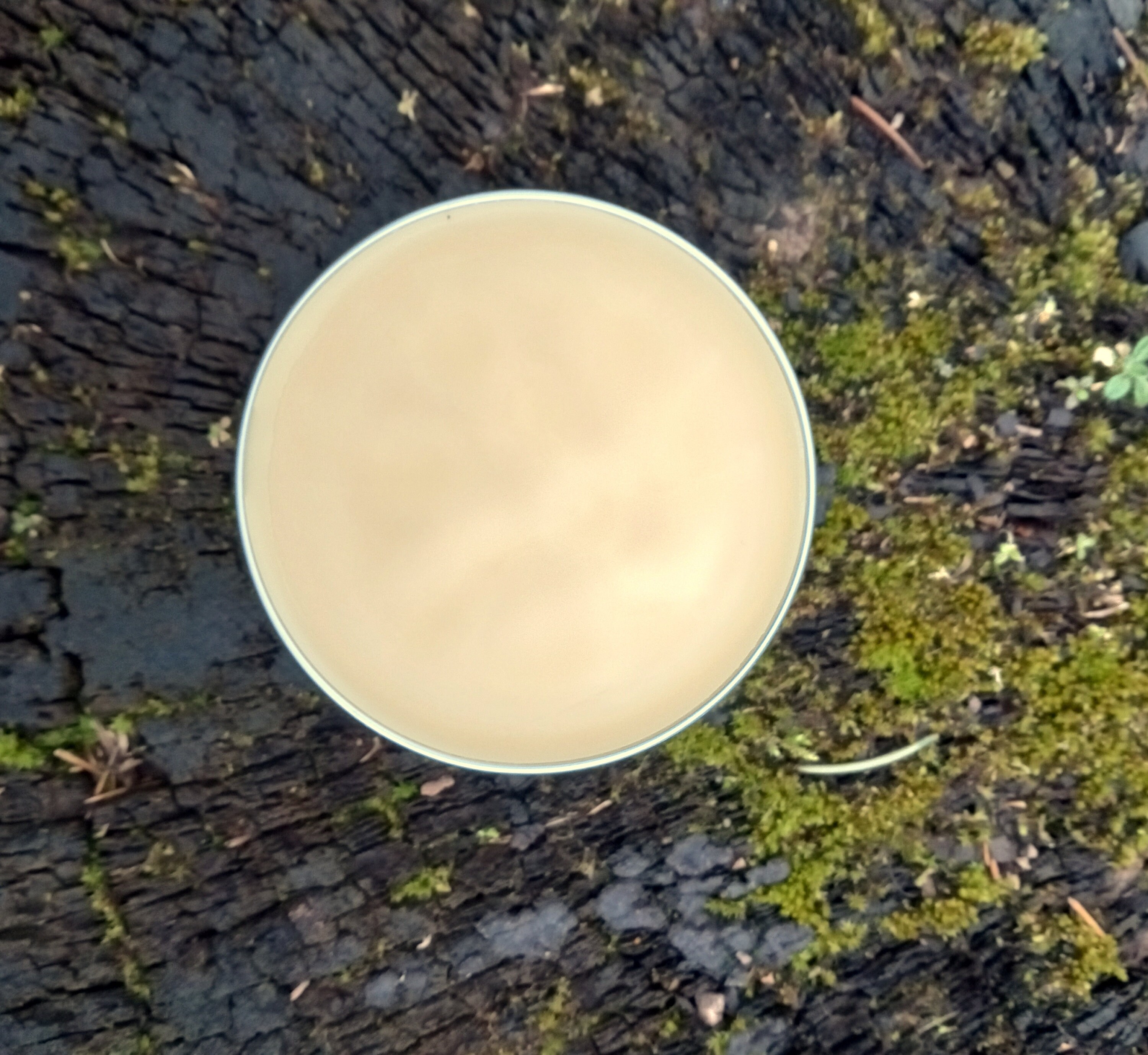 Liver Balm , Castor Oil Salve , Coffee Ginger Calendula Infused - Etsy