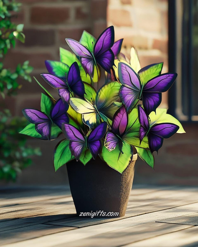 Plus de 200 graines d'hosta – Rares plantes ornementales vivaces ...