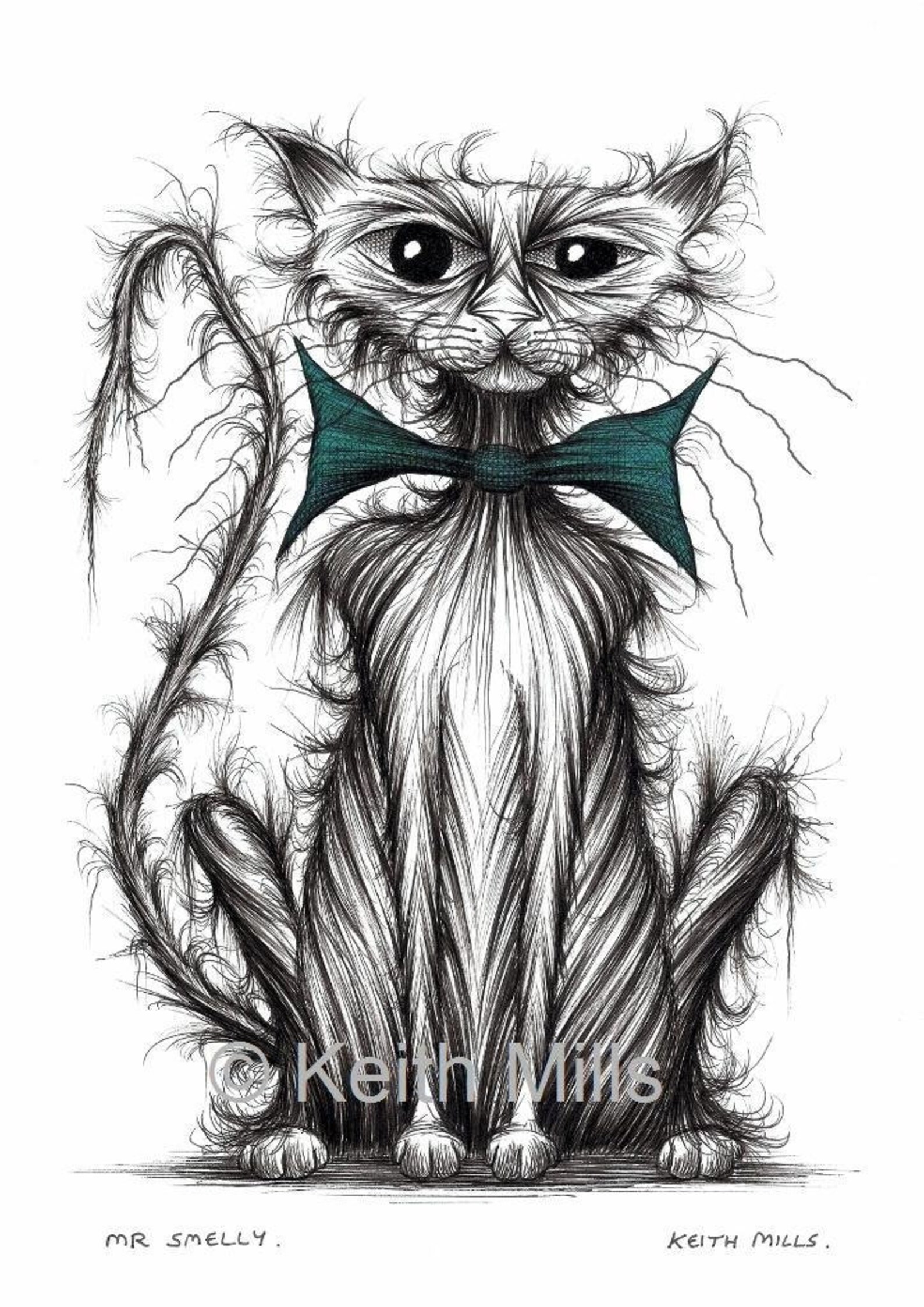 Mr Smelly Print Download Nasty Grumpy Looking Scruffy Pet Kitty Moggie ...