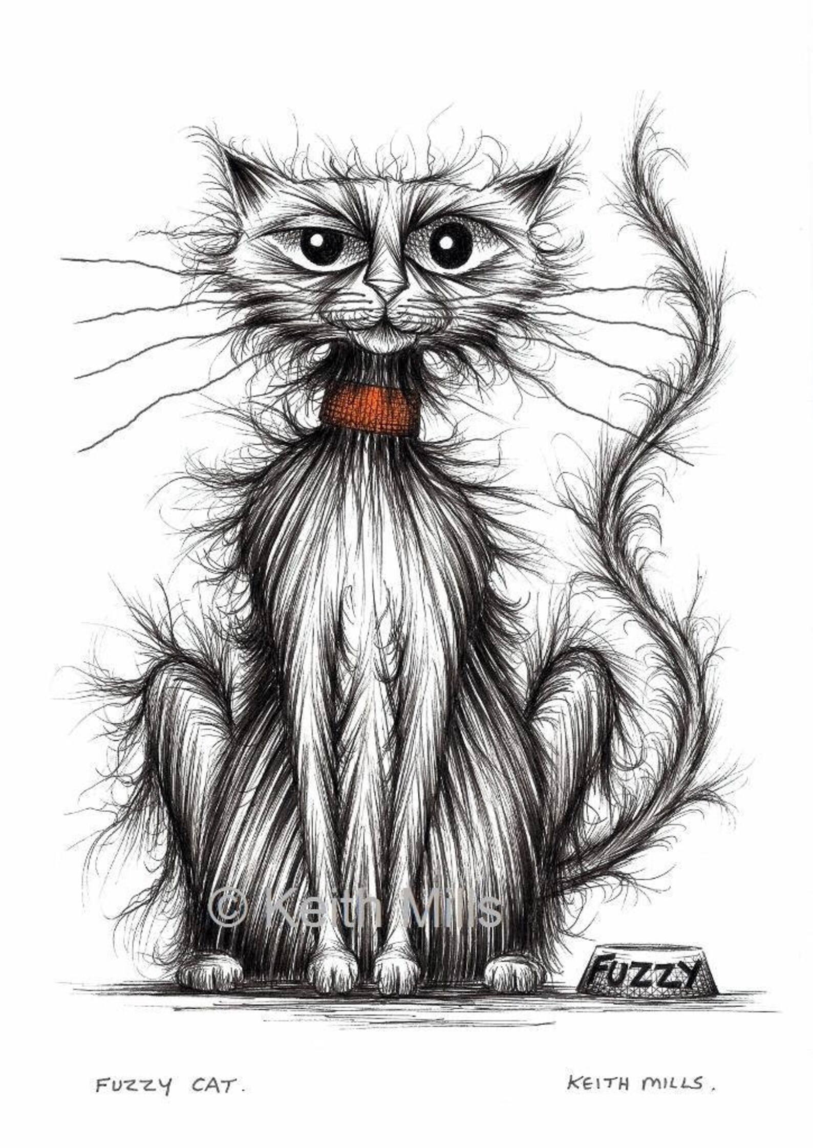 Fuzzy Cat Print A4 Size Picture Cute but Extremely Shabby Scruffy ...