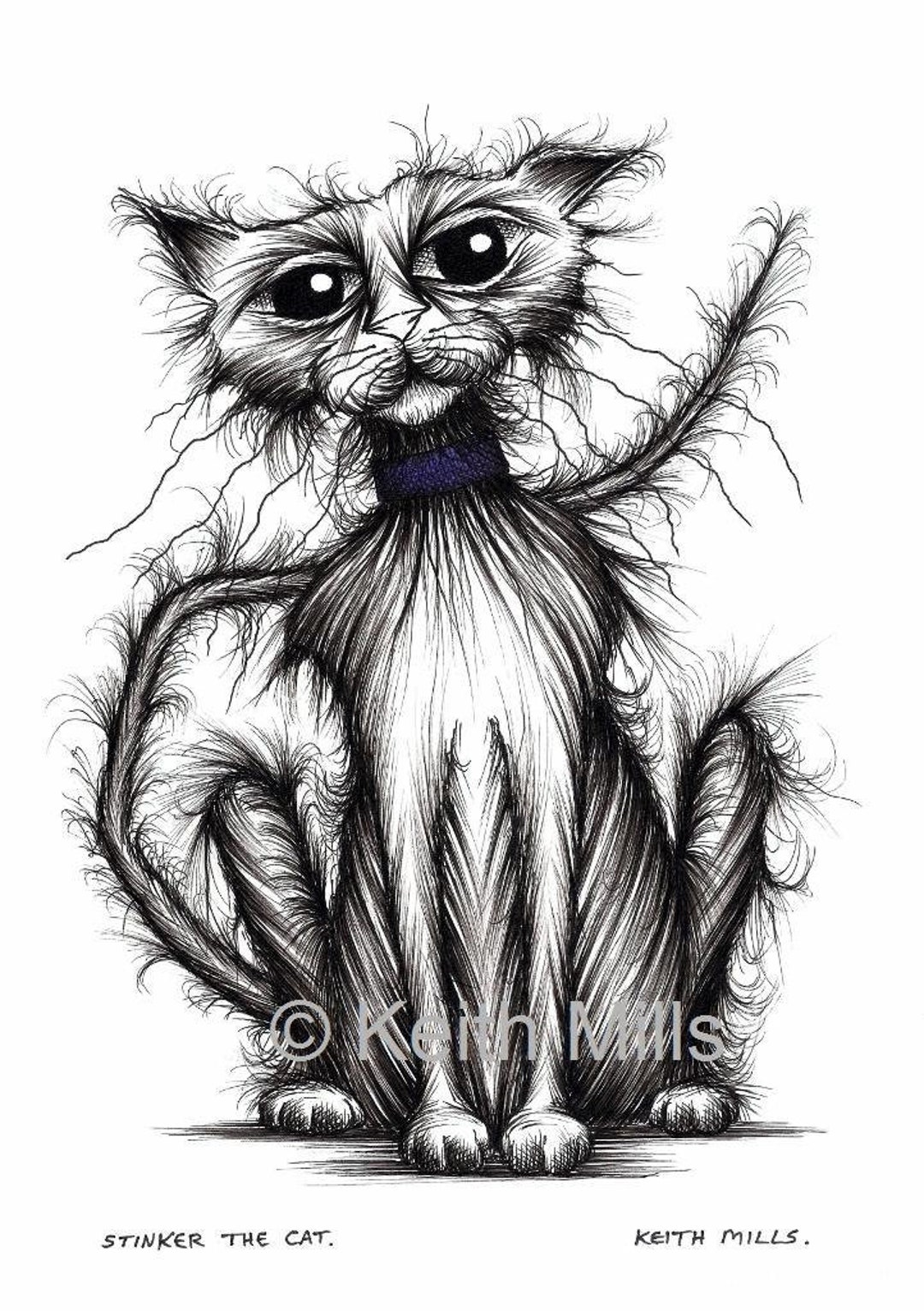 Stinker the Cat Print Download Smelly Stinky Kitty With Grumpy Face ...