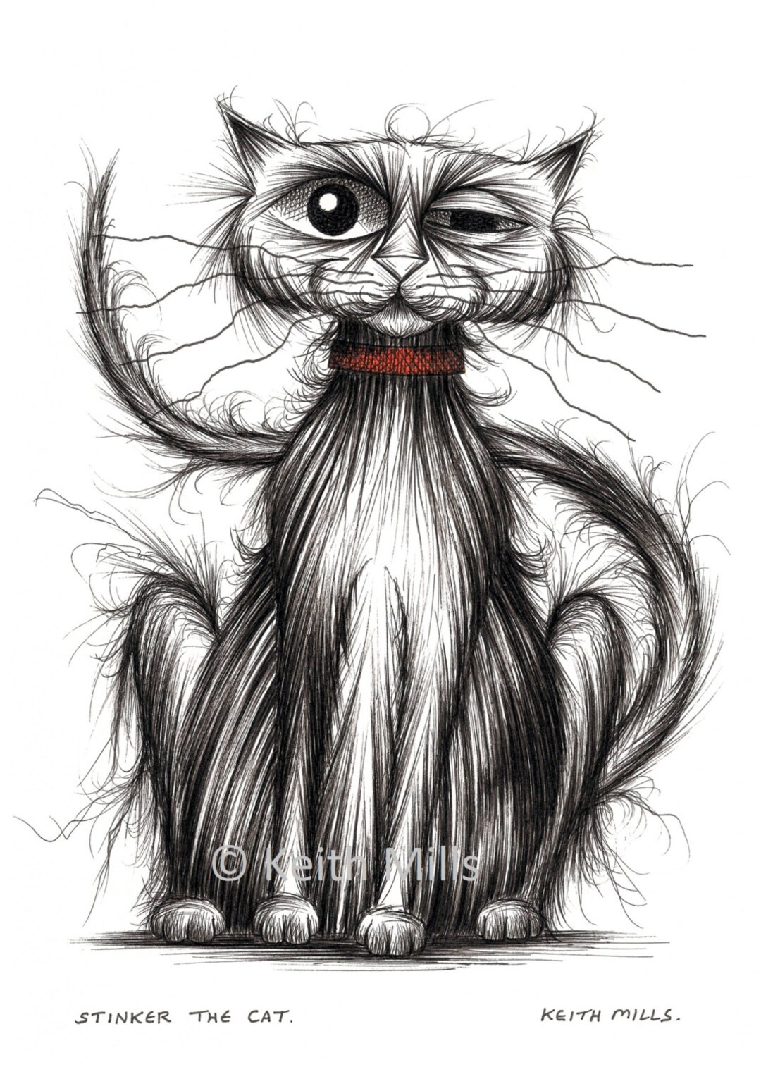 Stinker the Cat Print A4 Size Picture Slightly Posh Looking Stinky ...