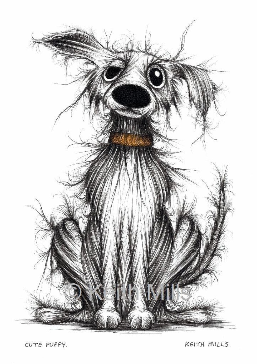 Cute Puppy Print Download Quite Shabby Scruffy Pet Pup With Tatty Fur ...