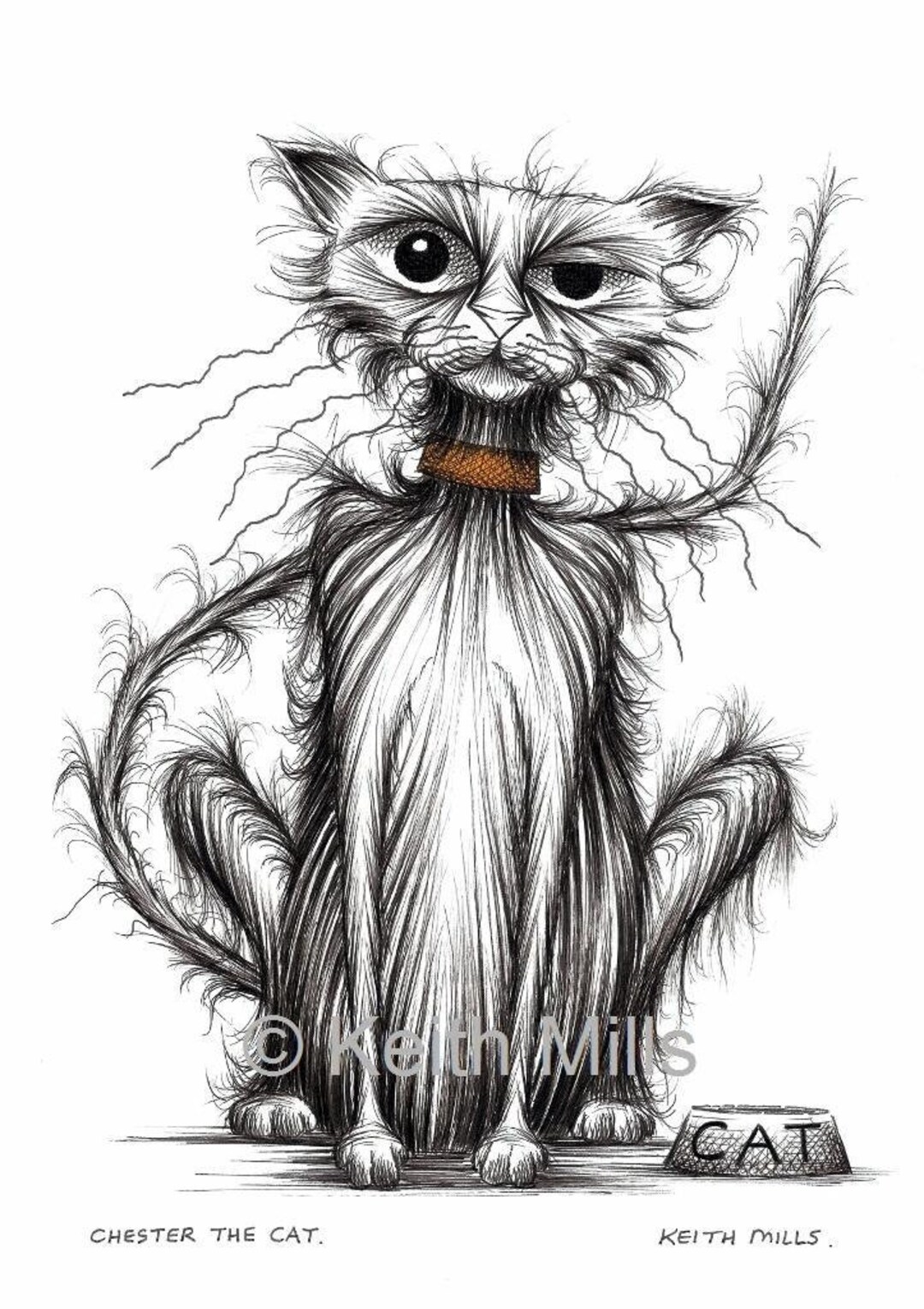 Chester the Cat Print Download Shabby Scruffy Pet Puss With a Miserable ...