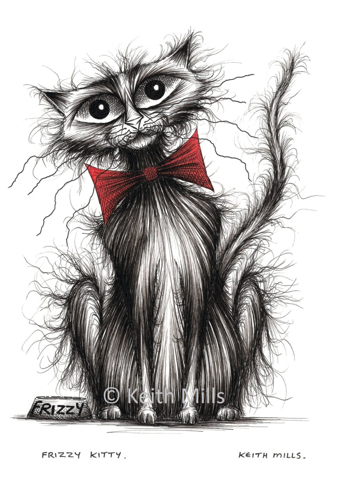 Frizzy Kitty Print A4 Size Picture Sweet Little Pet Kitten Puss ...