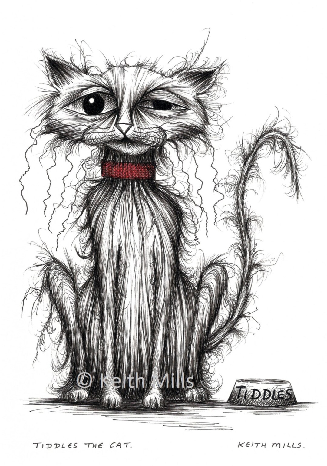 Tiddles the Cat Print Download Nasty Shabby Scruffy Pet Puss Kitty ...