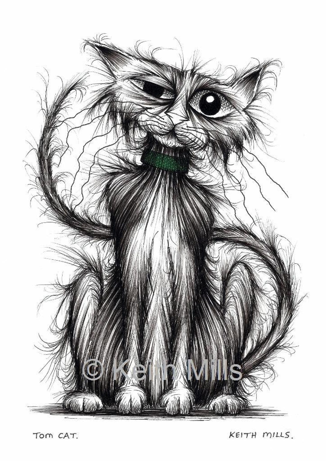 Tom Cat Print Download Very Shabby Scruffy Pet Kitty With Long Tail and ...