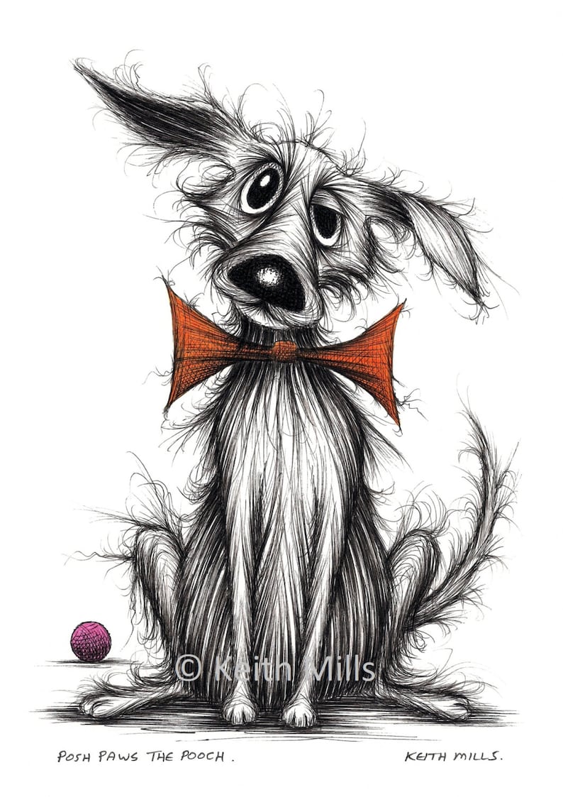 Posh Paws the Pooch Print A4 Size Picture Quite Scruffy Pet Hound ...