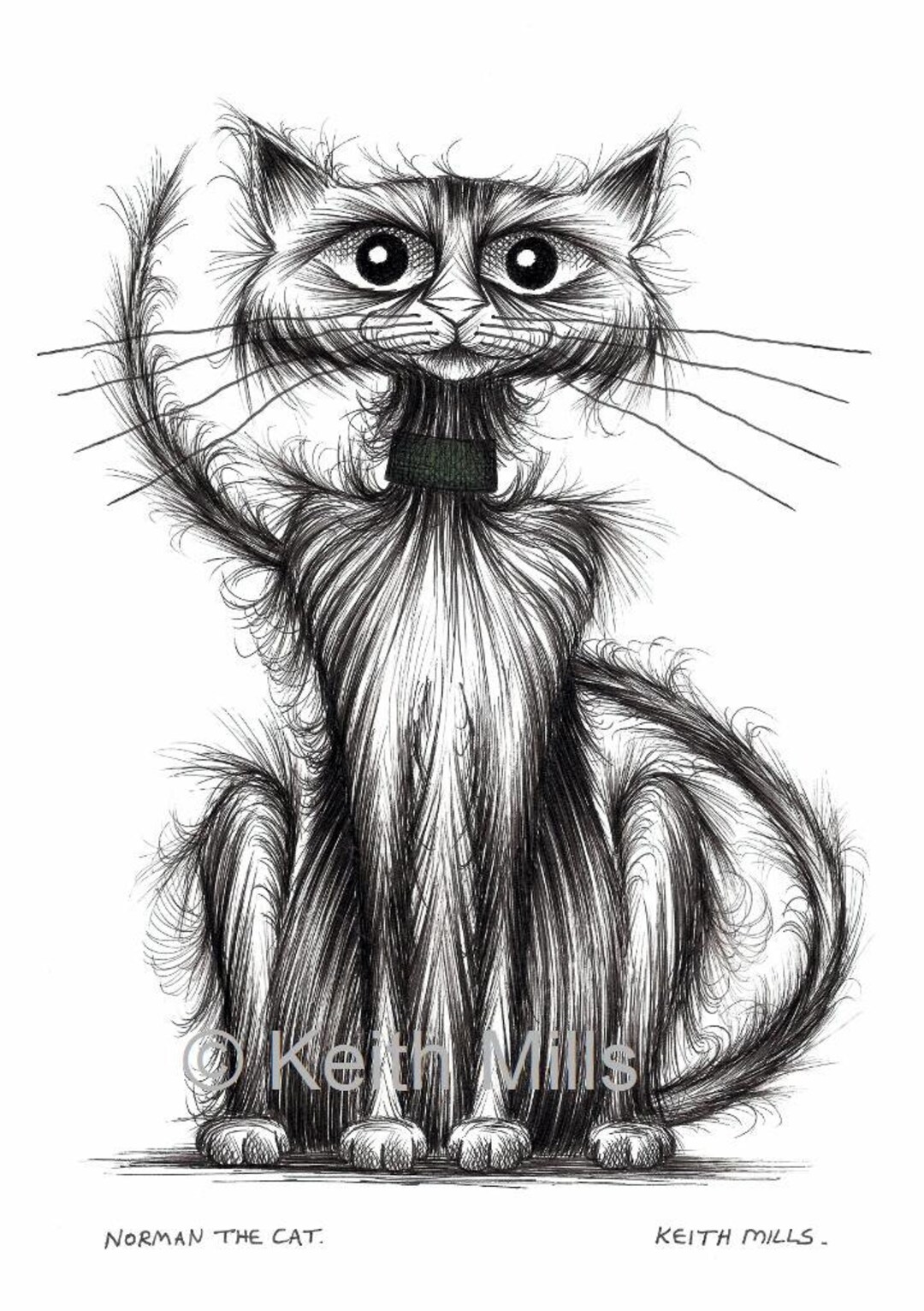Norman the Cat Print A4 Size Picture Slightly Startled Looking Pet ...