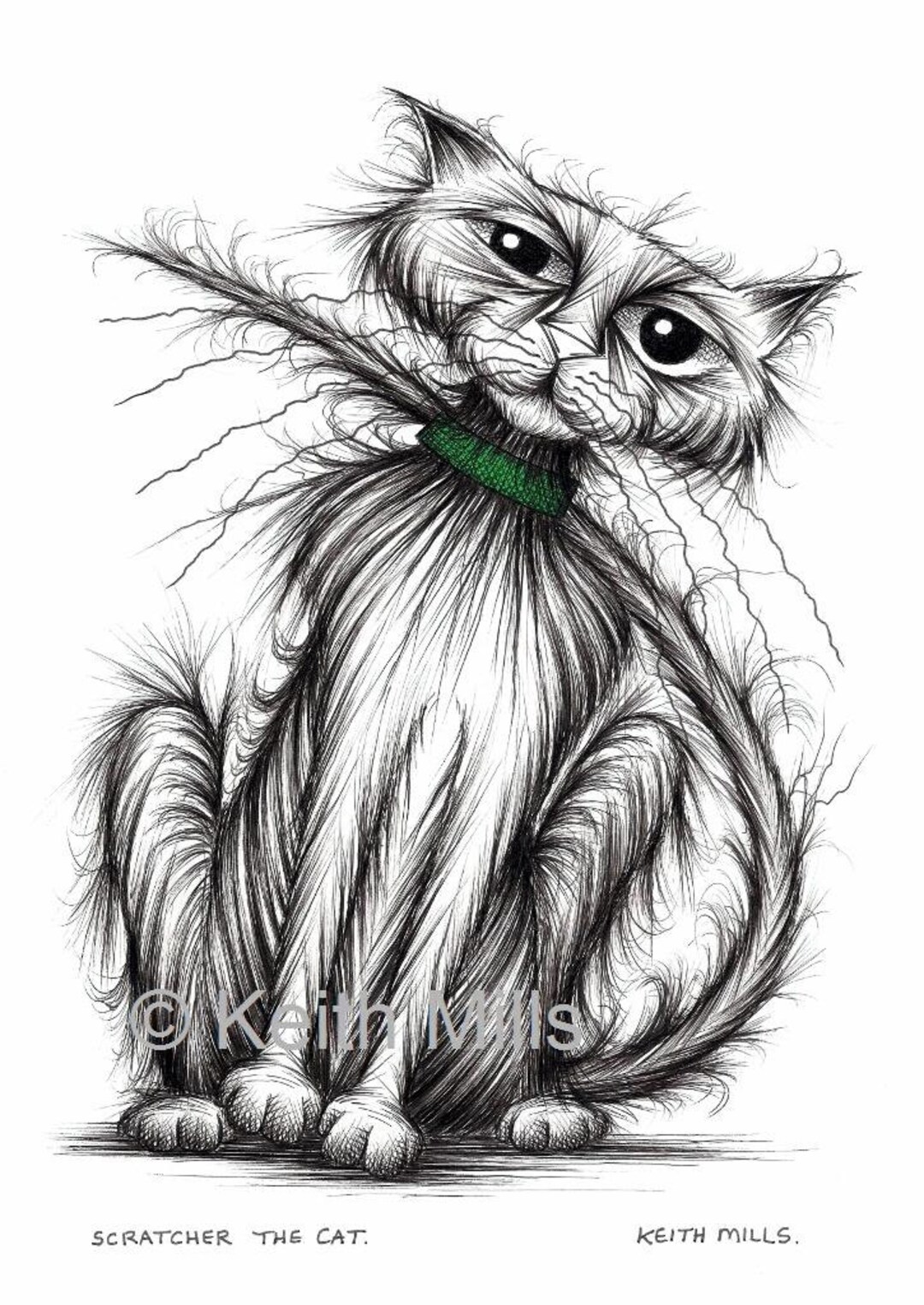 Scratcher the Cat Print A4 Size Picture Cheeky Face Pet Puss With ...