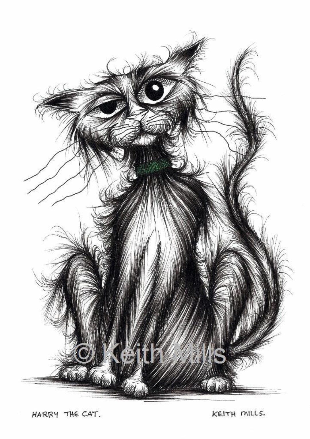 Harry the Cat Print Download Friendly Looking Slightly Scruffy - Etsy