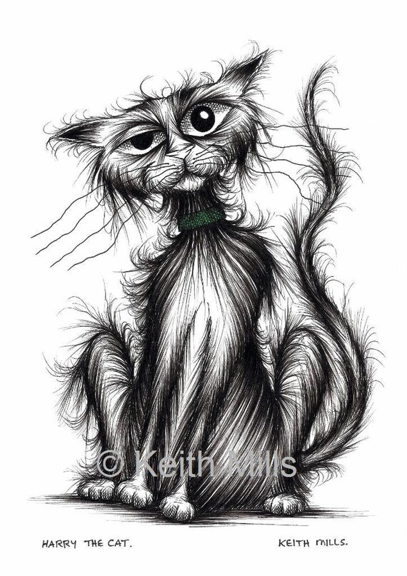Harry the Cat Print Download Friendly Looking Slightly Scruffy - Etsy