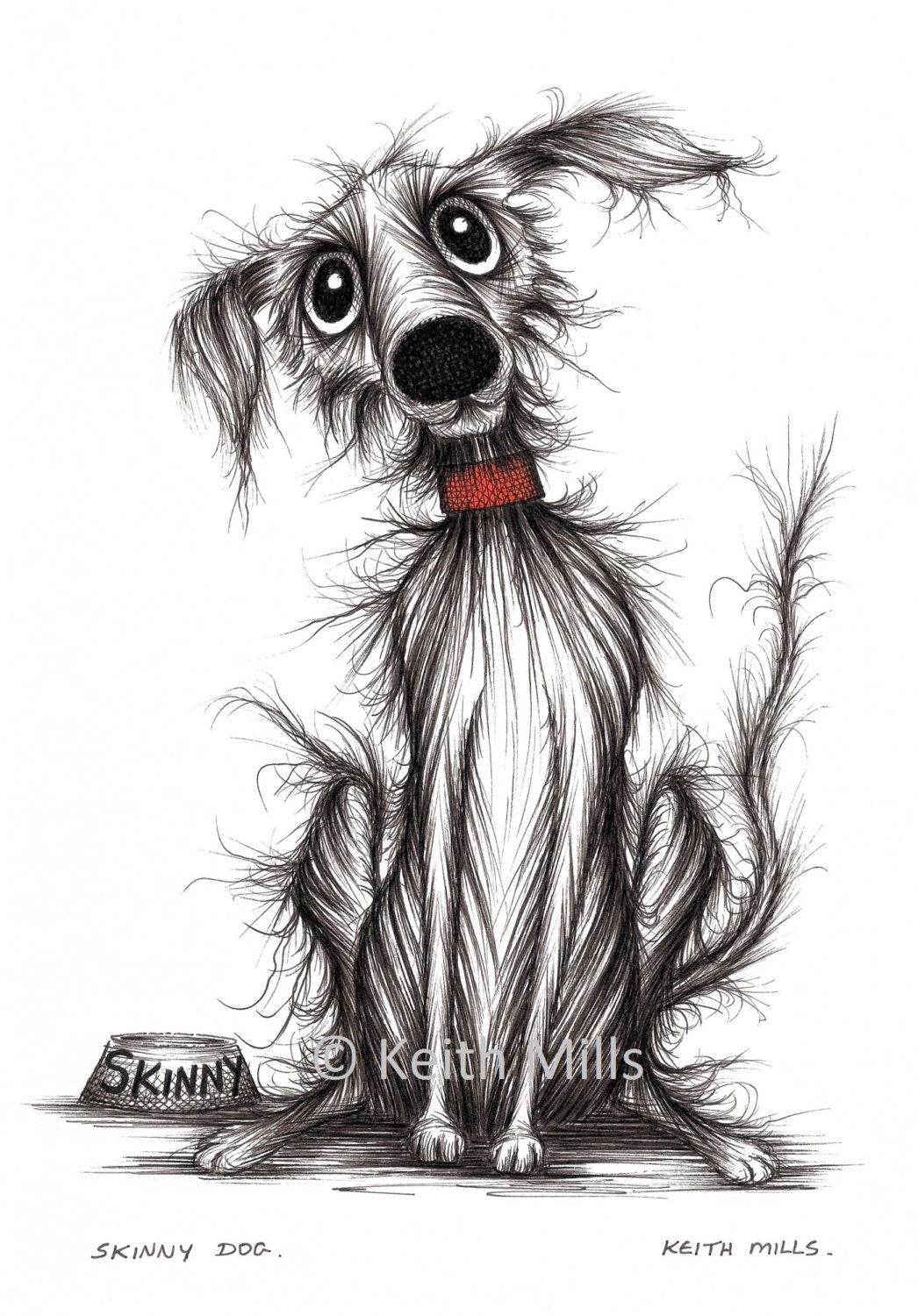 Perro flaco Imprimir imagen tamaño A4 Extremadamente hambriento pequeño ...