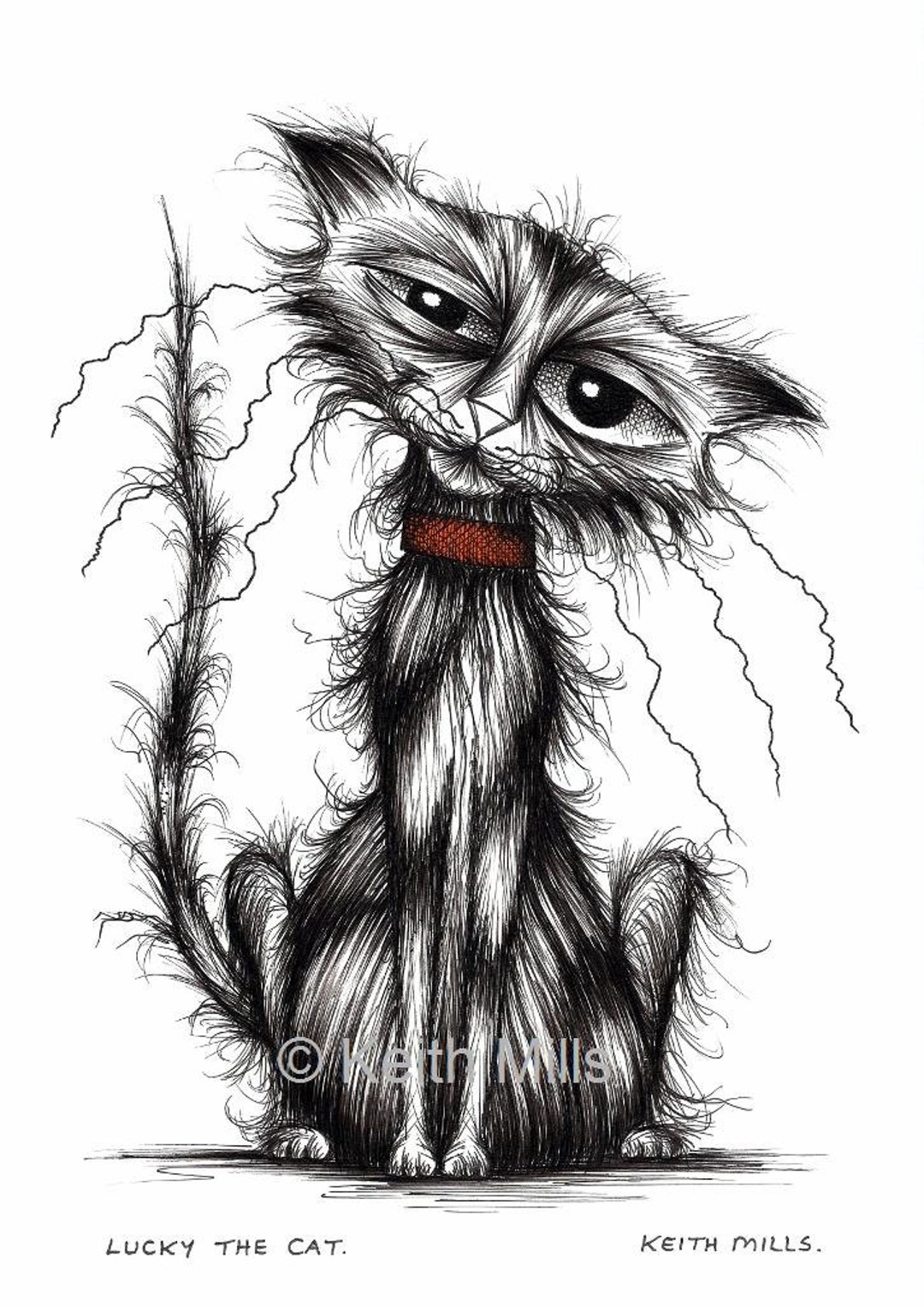 Lucky the Cat Print Download Sad Looking Skinny Little Pet Kitten Puss ...